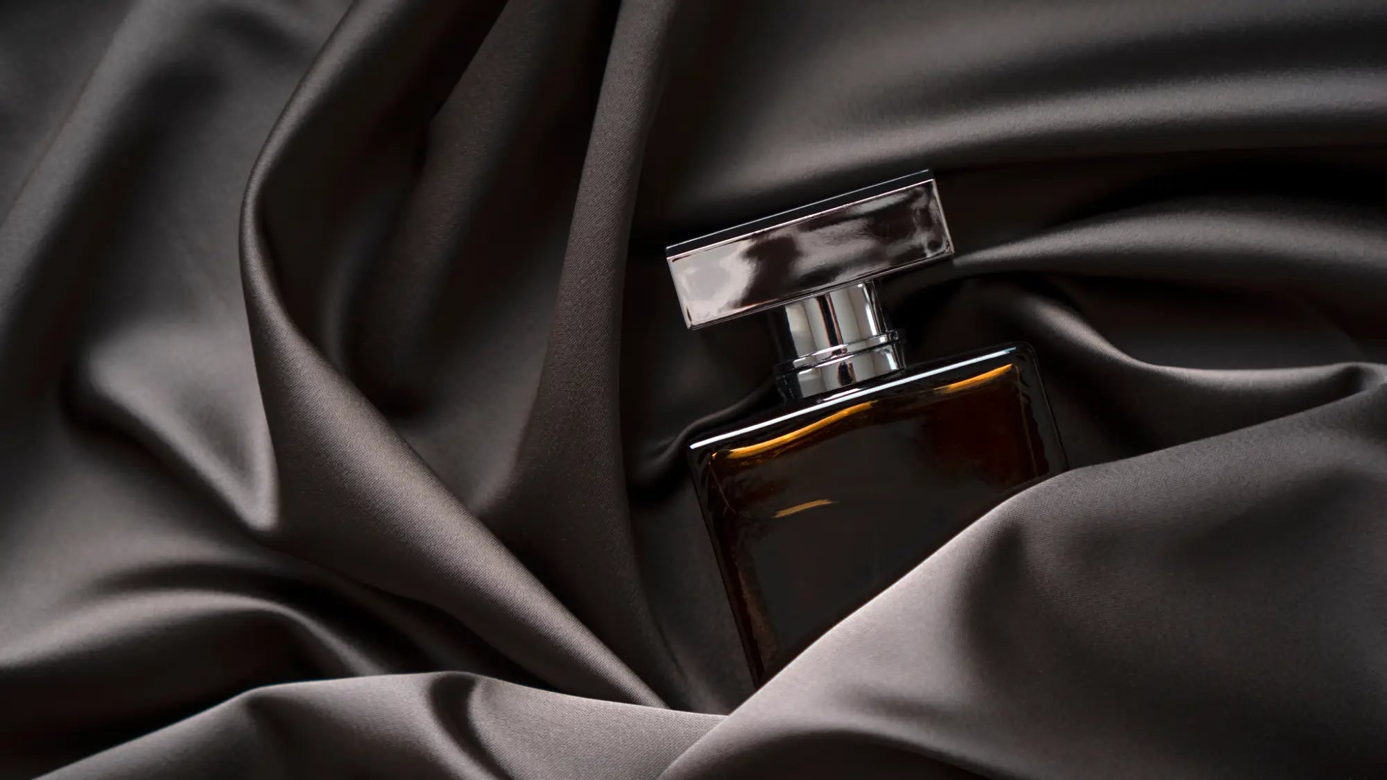 Premium Perfumes Collection - Wonders of Luxury